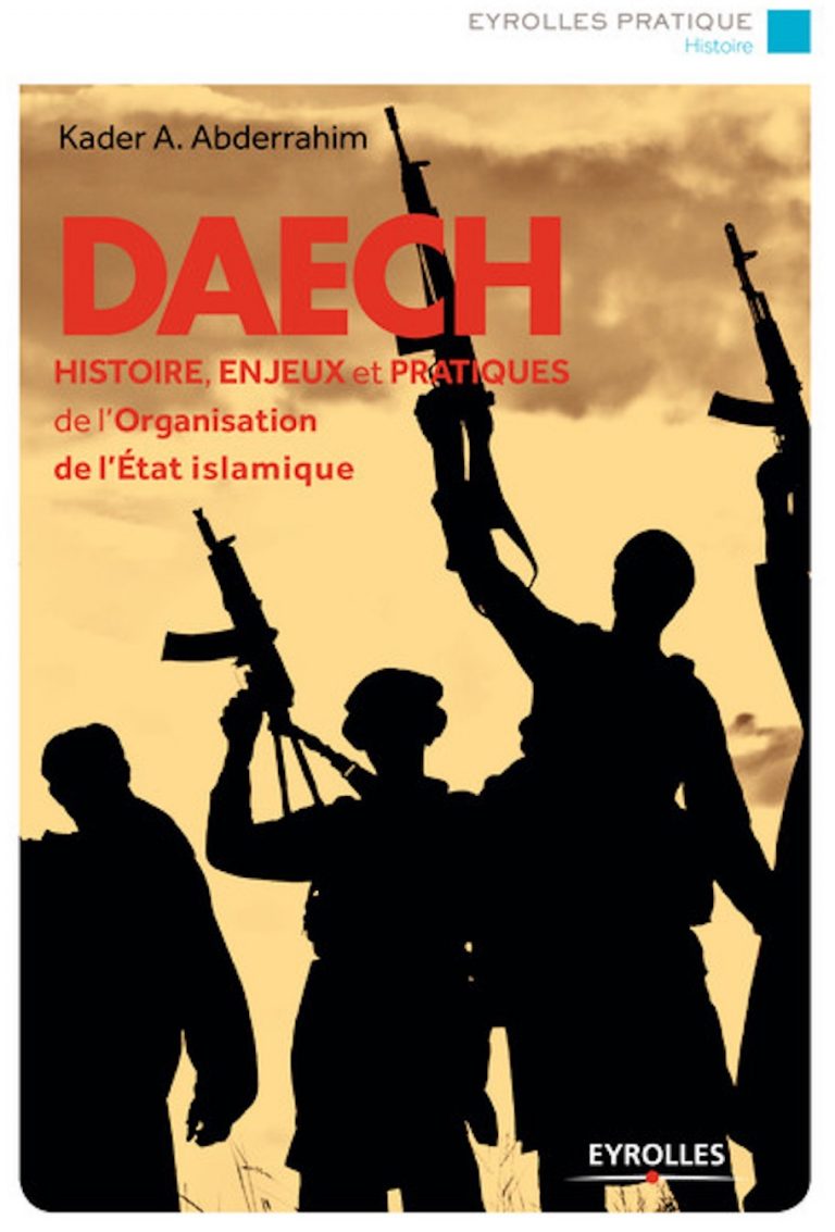 Daech : histoire, enjeux et pratiques de l’organisation de l’Etat ...